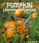 Pumpkin Learning Activities for Preschoolers + Linky - One Time Through